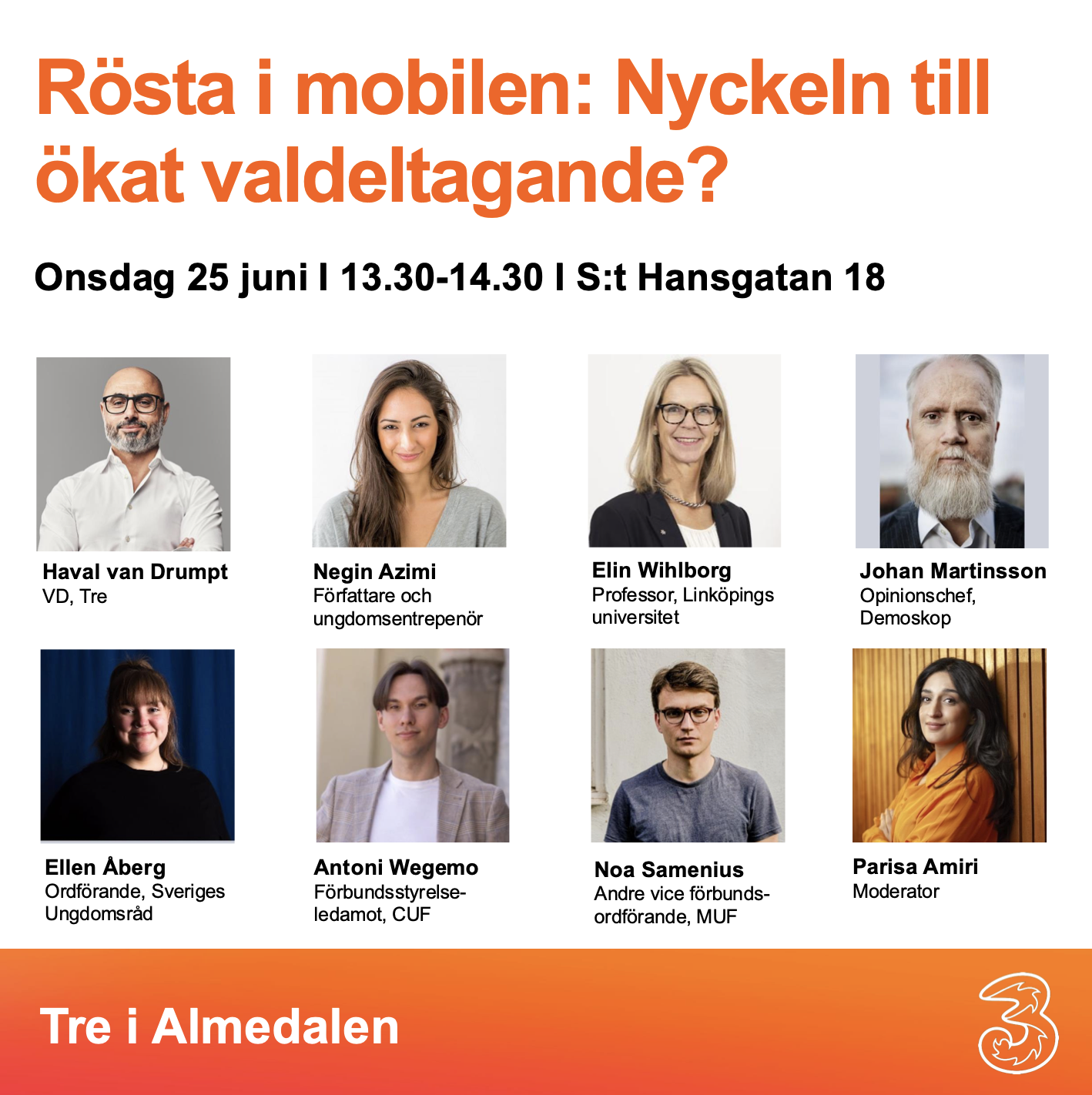 Almedalen – Negin Azimi